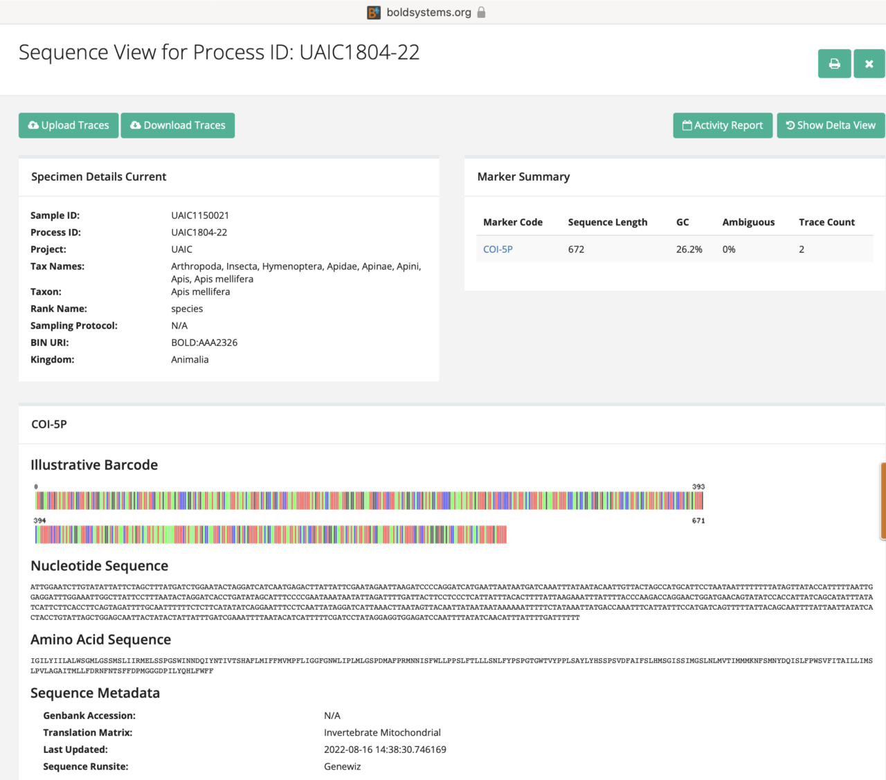 About the TBC – Tucson Bee Collaborative