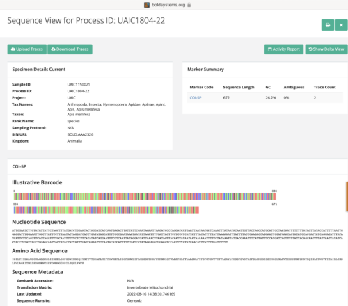 About the TBC – Tucson Bee Collaborative