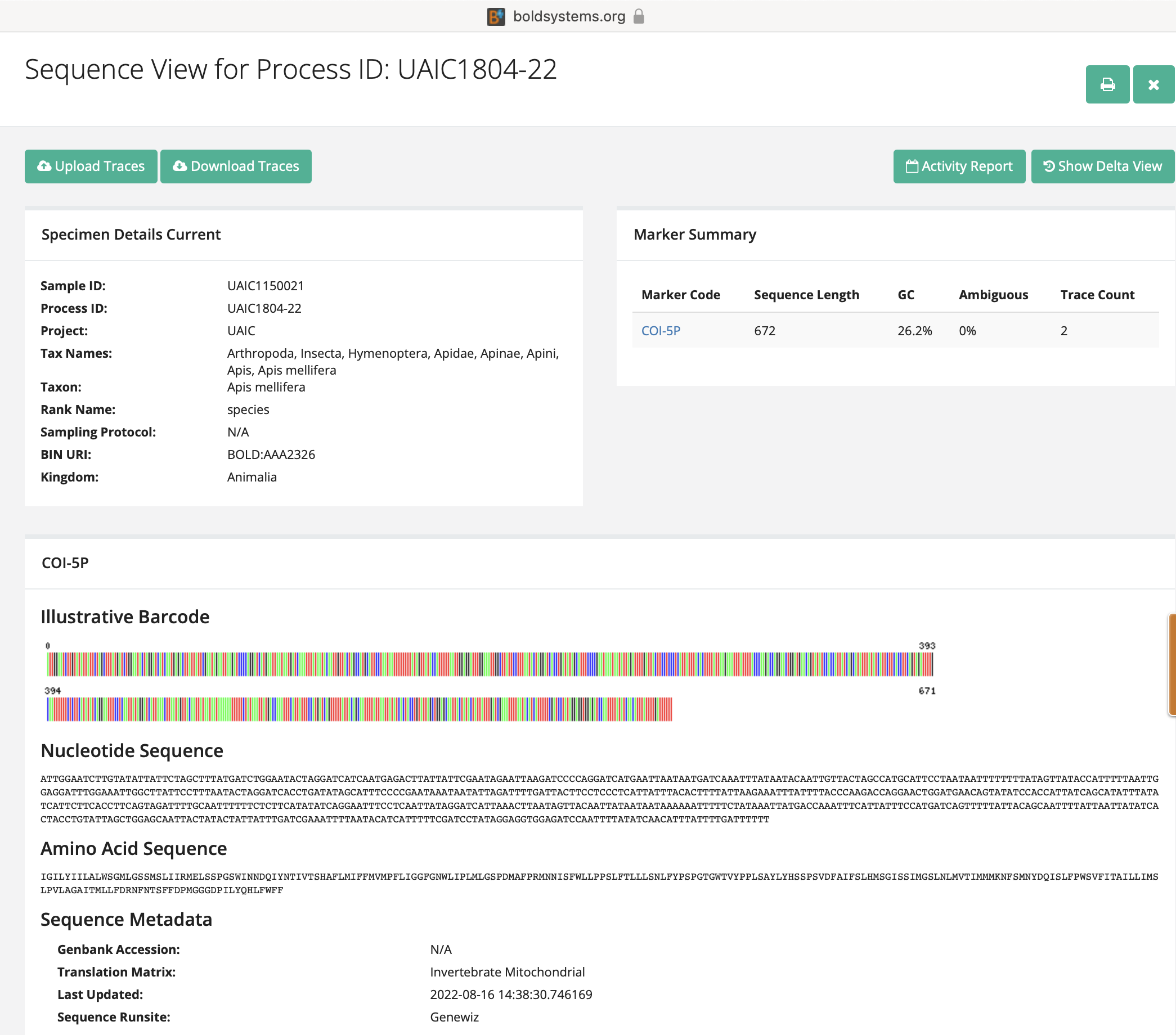 About the TBC – Tucson Bee Collaborative