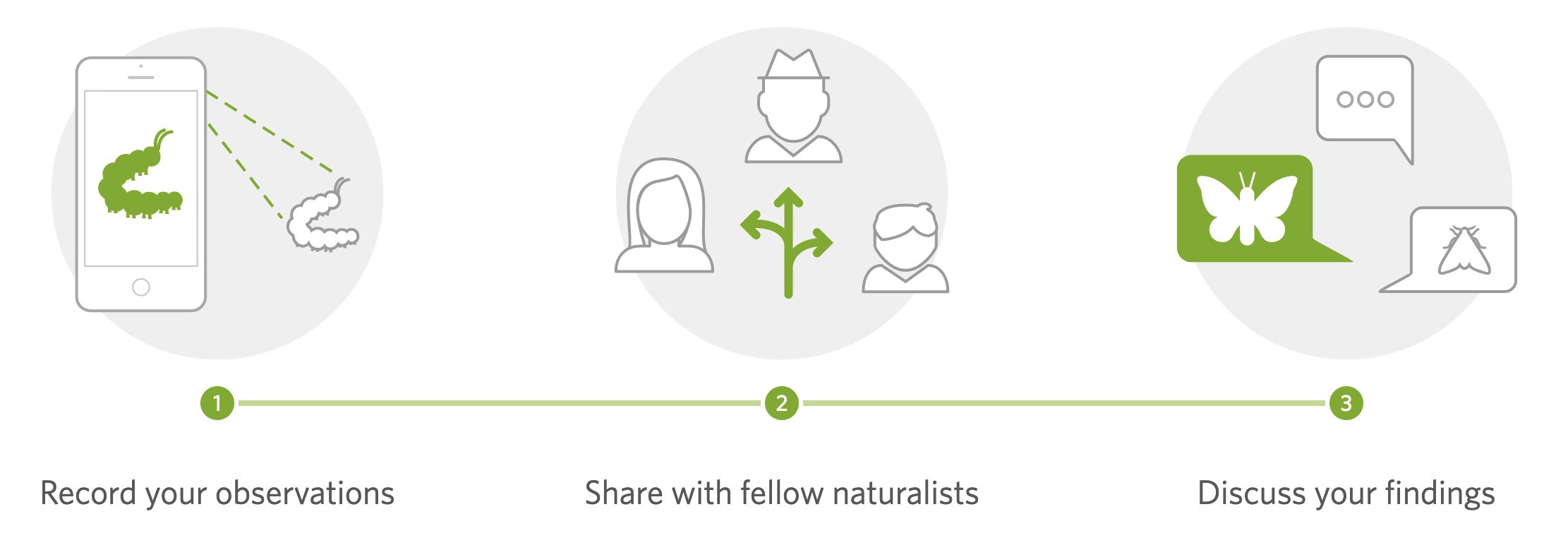 TBC iNaturalist Project – Tucson Bee Collaborative