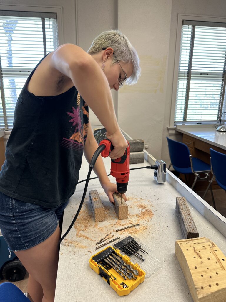 Outreach – Tucson Bee Collaborative