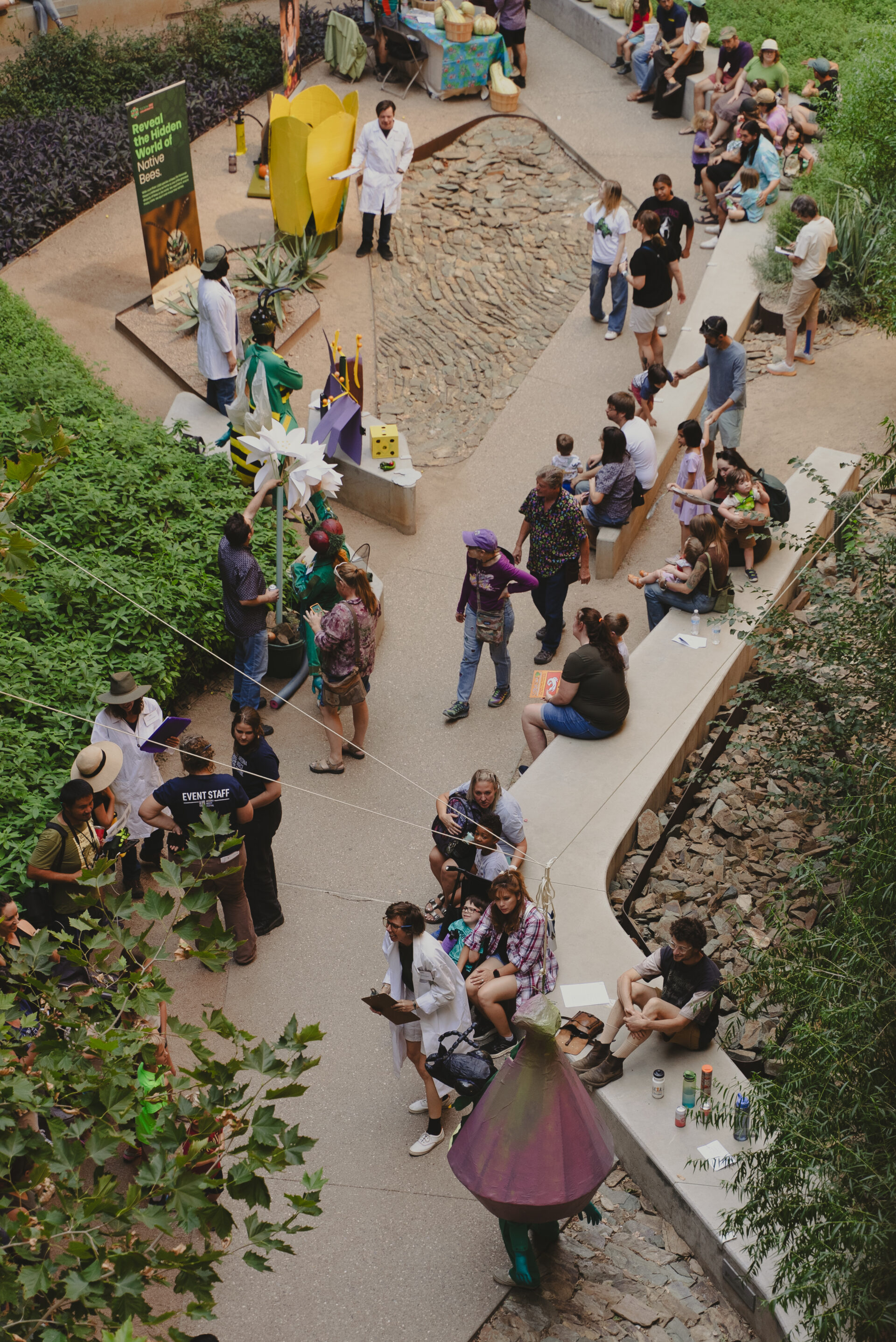 Insect Pollinator Skits – Tucson Bee Collaborative